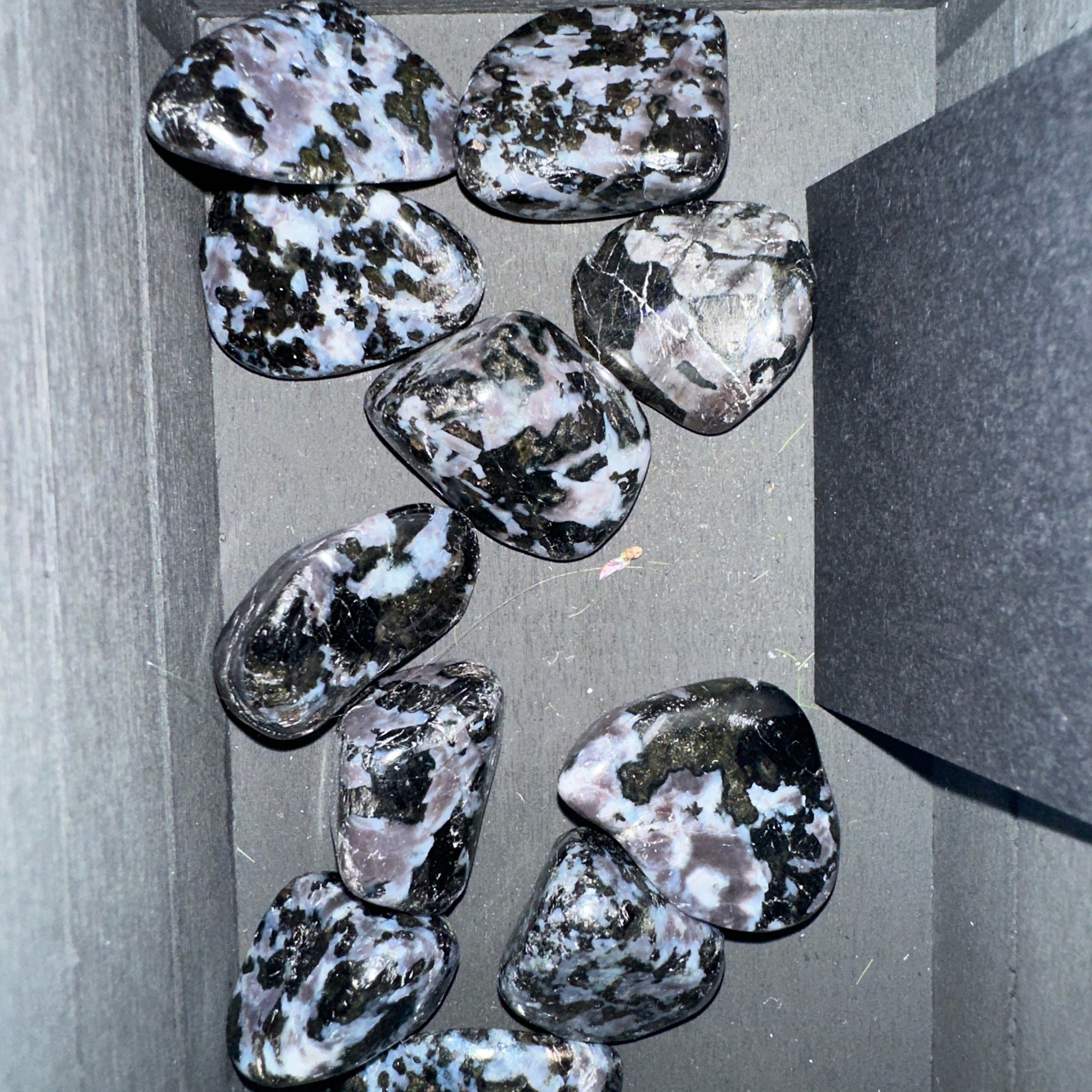 Merlinite, Tumbled | Vedic Moons Metaphysical Shoppe